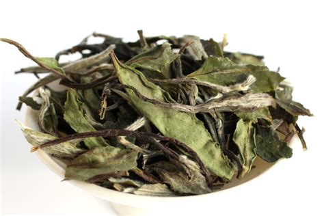 Augstas Kvalitātes Baltā Tēja Pērc Online Latvijā Tejolv