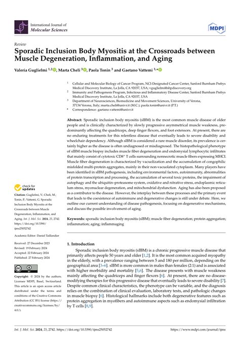 Pdf Sporadic Inclusion Body Myositis At The Crossroads Between Muscle