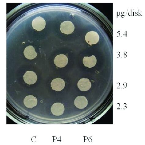 Growth Inhibition Of Staphylococcus Aureus S Aureus In This And The