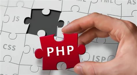 これで完璧PHP while文の基礎breakとcontinueの違いも紹介Udemy メディア