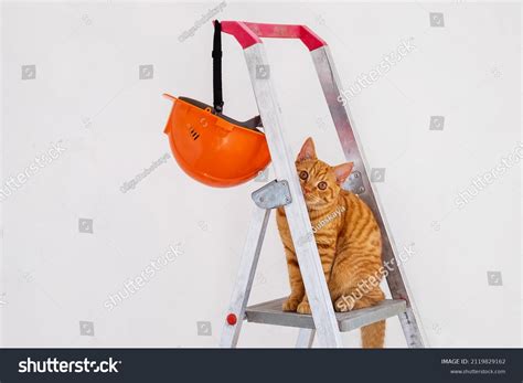 What Is Tabby Construction At Jacob Porter Blog