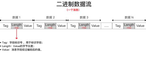 Protocol Buffer 序列化原理大揭秘 为什么protocol Buffer性能这么好？ 腾讯云开发者社区 腾讯云