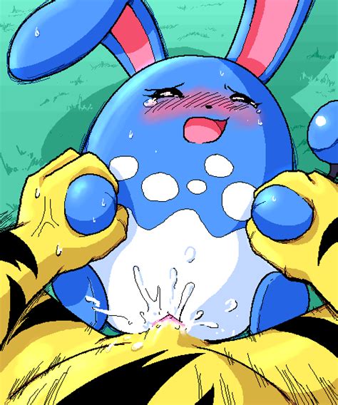 Post 112348 Azumarill Electabuzz G Sun Porkyman