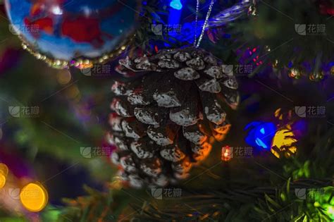 挂在圣诞树上的松果素材 花瓣网