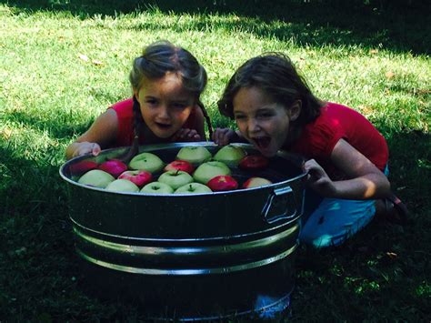Apple Bobbing At Apple Days