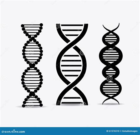Dna Design Stock Vector Illustration Of Cell Molecular 61576510