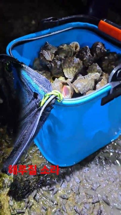 소라 해루질 Youtube