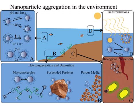 Publication Nanoparticle Aggregation Challenges To Understanding