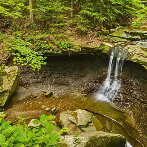 S958a9419c6934ffe8122f1f69eac119ao 