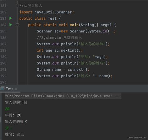 java编程基础：逻辑控制与输入输出详解 csdn博客