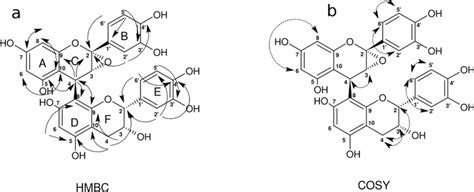 Main Heteronuclear Multiple Bond Correlation A And Correlation