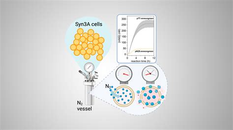 Researchers Open Up A Potential New Route For Designing Synthetic Cells