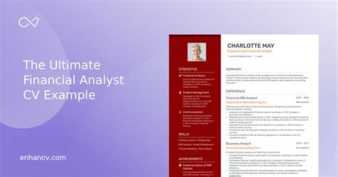 3 Financial Analyst Cv Examples For 2023