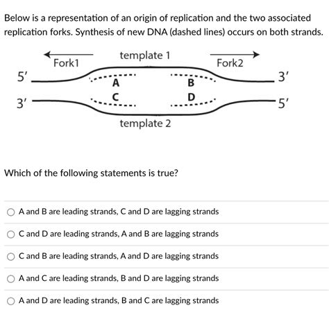 Solved Below Is A Representation Of An Origin Of Replication