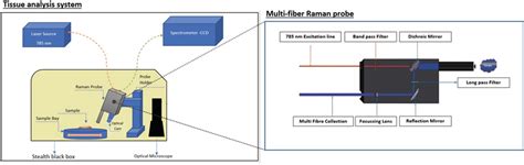 Schematic Of The Customised Raman Device For Cancer Detection