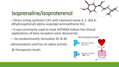 Catecholamines And Noncatecholamines Pptx