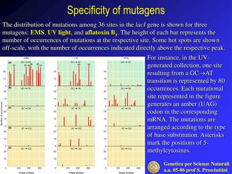 Ppt Induced Mutations Powerpoint Presentation Free Download Id1004562