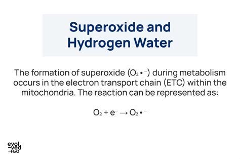 What Is Superoxide And How Does It React With Hydrogen Water Evolved H2o