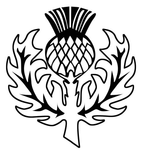 Caledonian Showing Championships