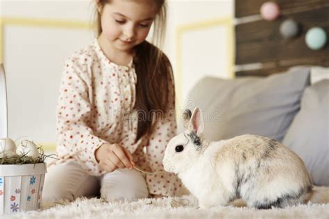 Girl Having Fun With Rabbit On The Bed Stock Image Image Of Animal