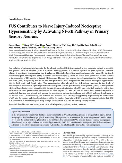 Pdf Fus Contributes To Nerve Injury Induced Nociceptive