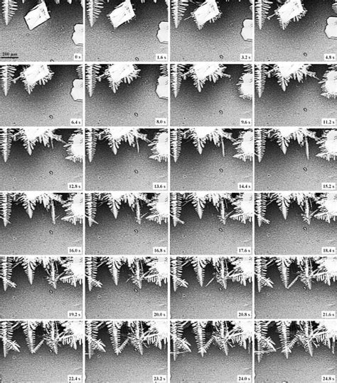 Unmodified Irregular Eutectic Microstructure Formation During Ds