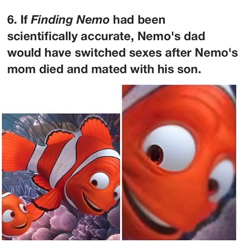 Findet Nemo Memes