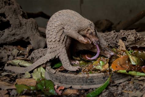 Caitlin Lovinger The New York Times