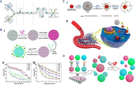 A Schematic Diagram Of Droplet‐cell‐based Drug Screening Reproduced