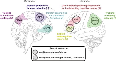 How Local And Global Metacognition Shape Mental Health Biological Psychiatry