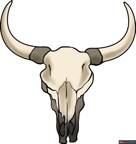 16 Easy Skull Drawing Tutorials