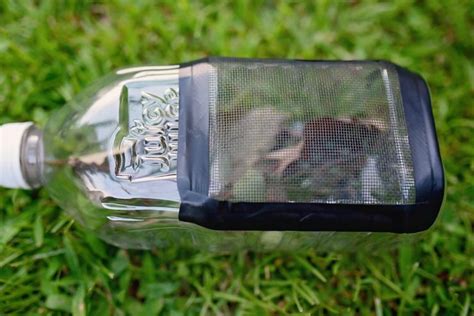 Diy Bug Catcher With Upcycled Juicy Juice Bottle Sarah Halstead