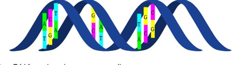 Figure 1 From A Novel Algorithm For Solving The Prize Collecting