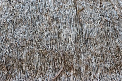 Premium Photo Dry Brown Grass Roofing Texture Wall Background