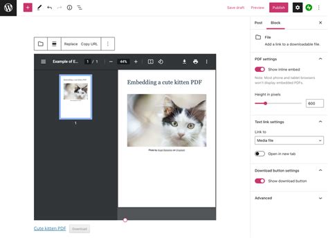 embed a pdf file support