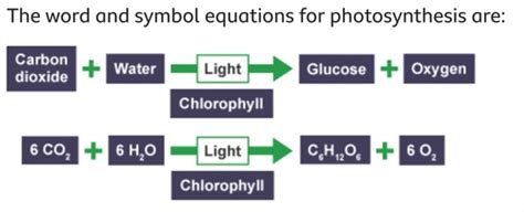 The Reactivity Series Flashcards Quizlet