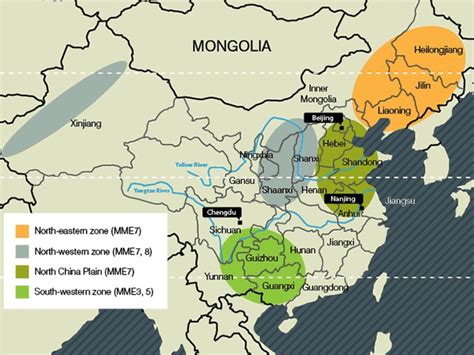 China To Reduce Corn Acres Could Be Larger Buyer Long Term