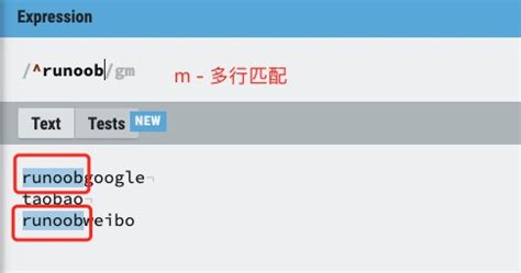 正则表达式 修饰符标记 菜鸟教程