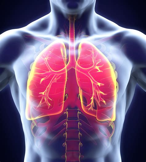 Genomic Profiling Identifies 3 Nsclc Subtypes Predictive Of Adjuvant