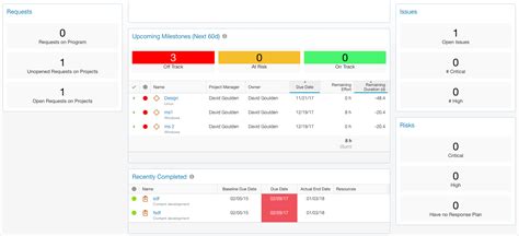 Program Dashboard And Reports Manage Projects Tasks And Finances