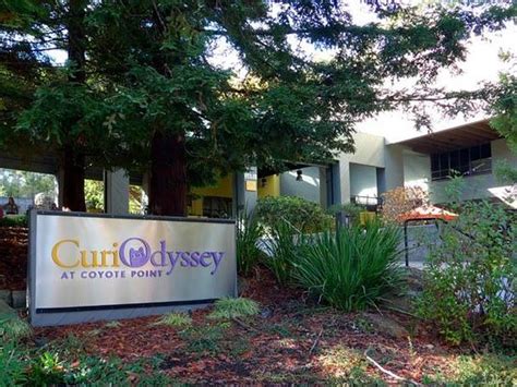 Curiodyssey San Mateo 2021 All You Need To Know Before You Go