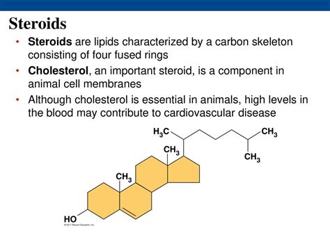 The Structure And Function Of Large Biological Molecules Ppt Download