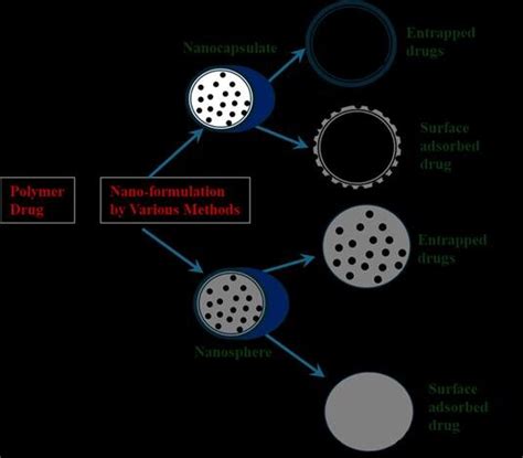 The Encapsulation Of Drug And Polymer Nanoparticles Download