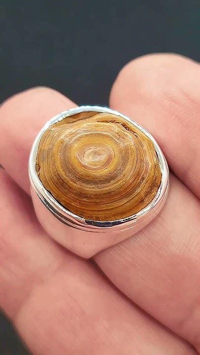 سلطاني عراقي 💥 Youtube