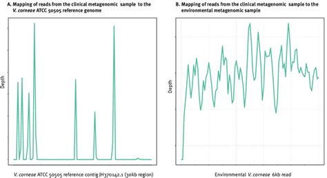 Mapping Of Clinical Metagenomic Sample To Environmental Metagenomic Download Scientific Diagram