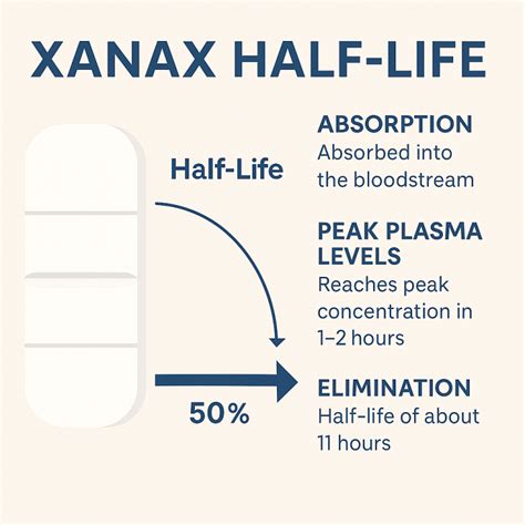 Xanax Half Life What You Need To Know