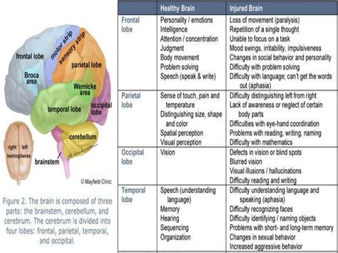 Frontal Lobar Function Testspptx