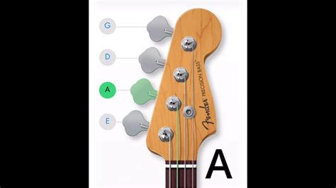 Bass Guitar Tuner Standard Tuning E A D G 4 String Youtube