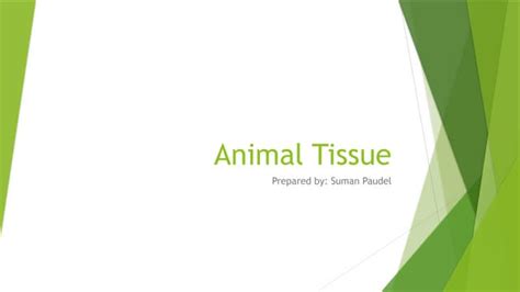 Class 12 Notes Of Zoology Topic Animal Tissue Pptx
