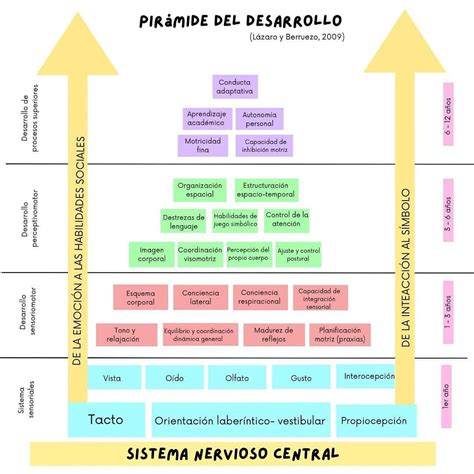 Plenamente 💡¿sabías Que El Desarrollo Infantil Tiene Una Base Como